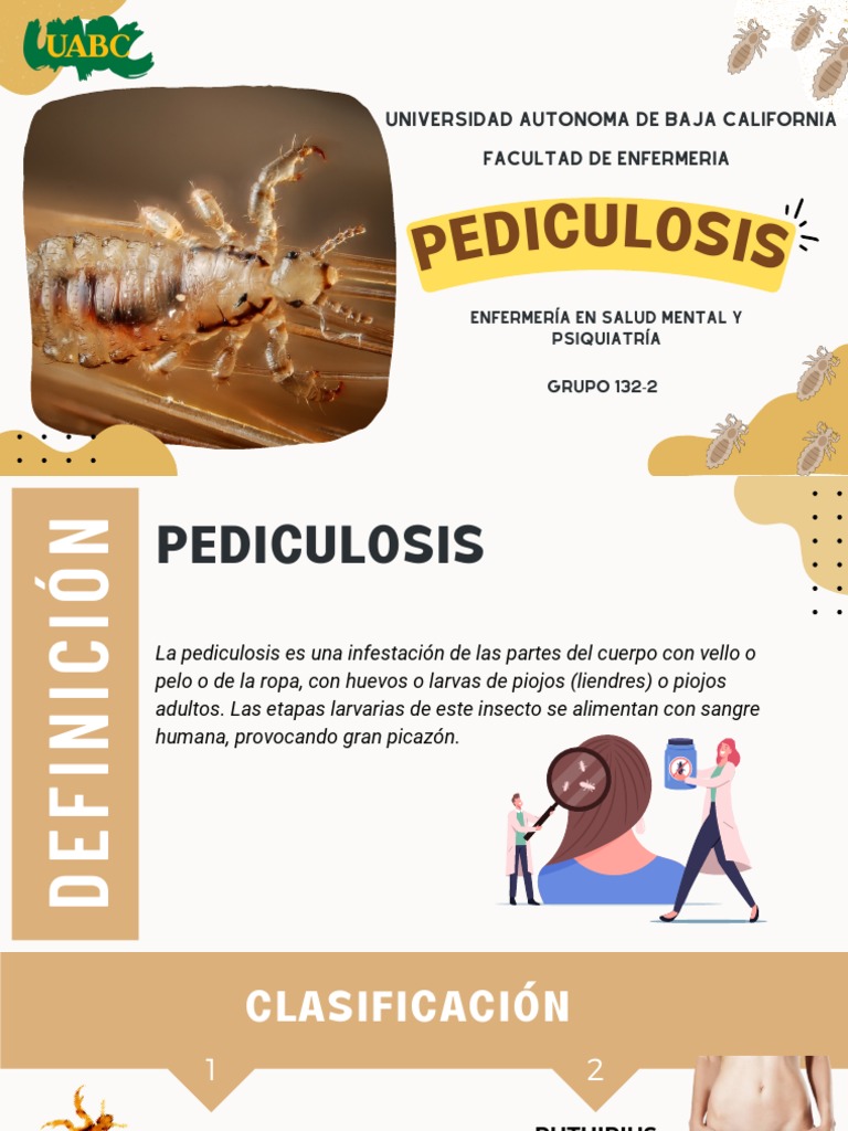 Tema de Exposición - Pediculosis | PDF | Parasitología