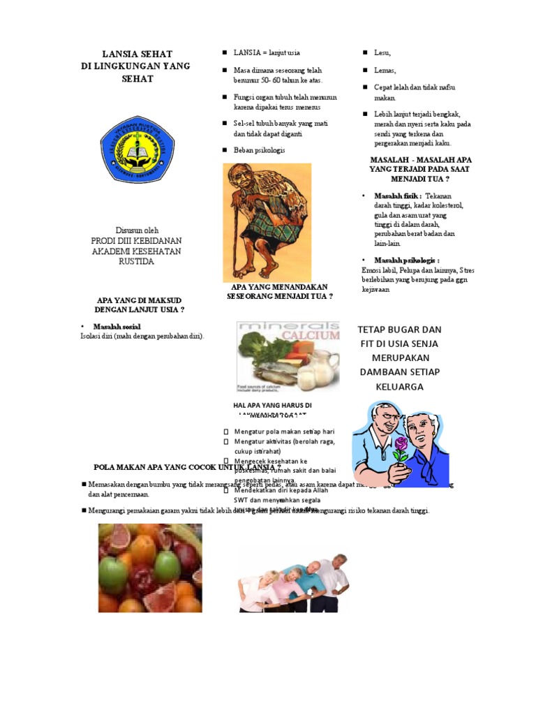 Leaflet Lansia | PDF