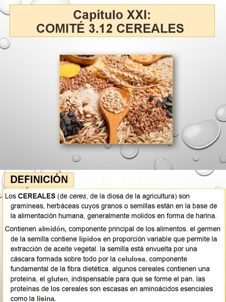 Clasificación y Composición de Cereales | PDF