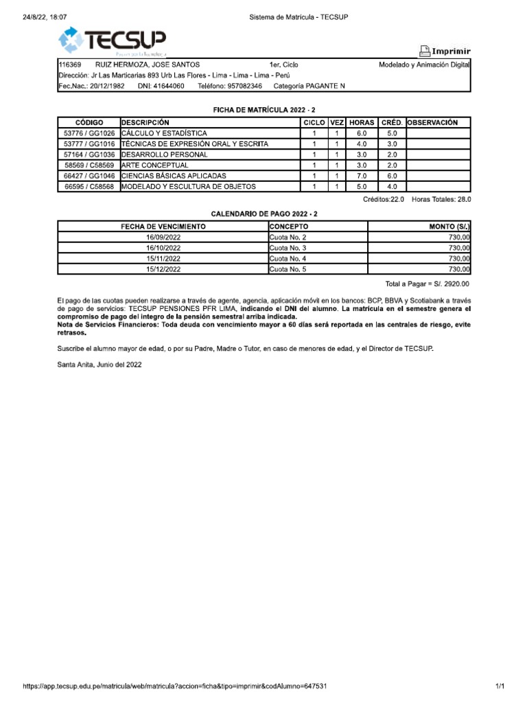 Tecsup Ciclo 1 Resumen | PDF
