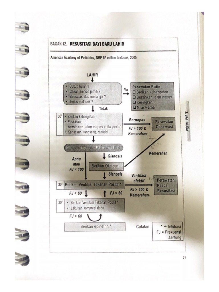 BAGAN 12. RESUSITASI BAYI BARU LAHIR | PDF