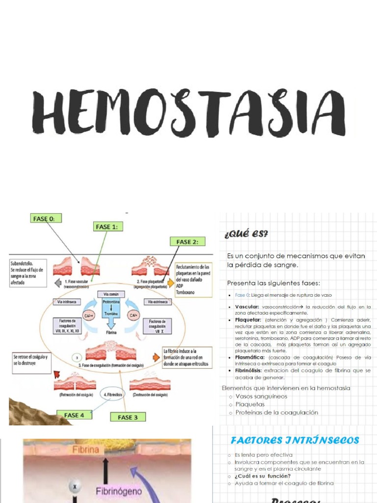 HEMOSTASIA | PDF