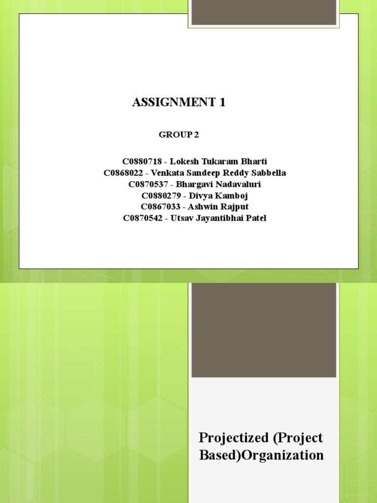Project Management Assignment1 | PDF