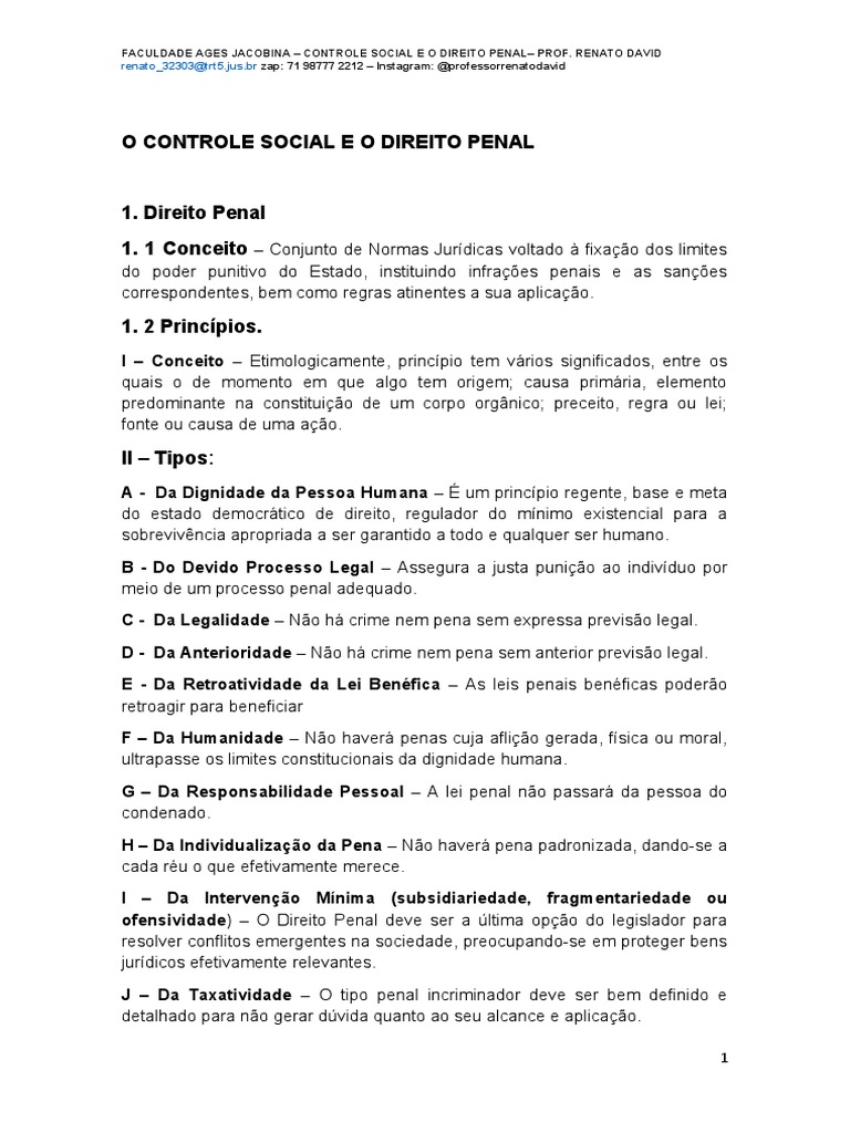 Controle Social e Direito Penal: Princípios e Interpretação | PDF ...