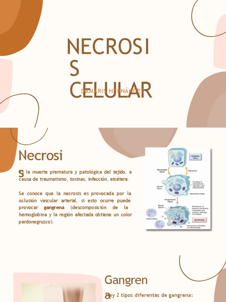 Necrosis Celular CM | PDF