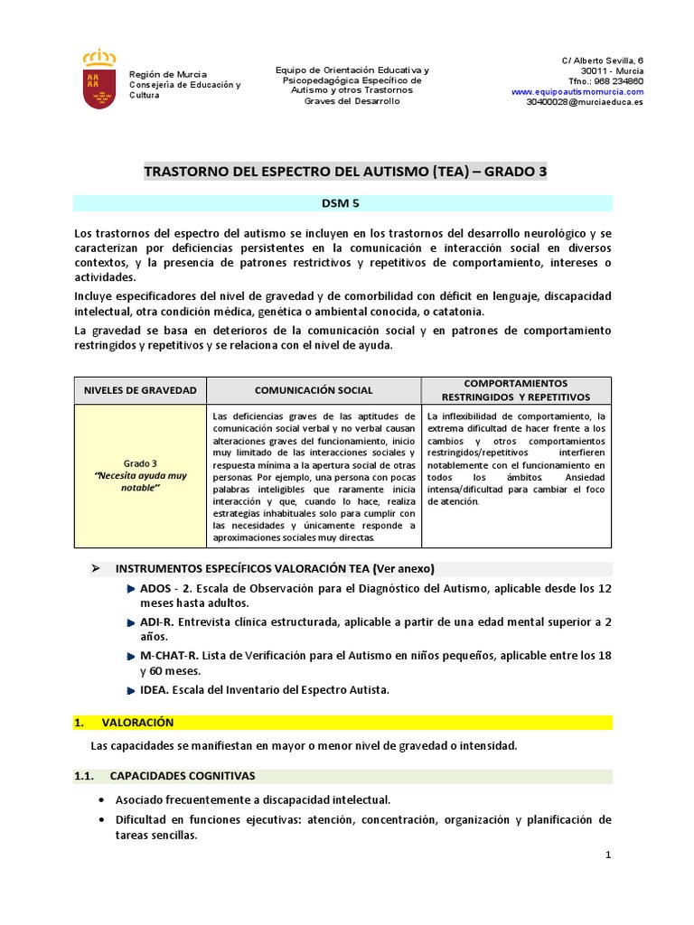 Autismo Grado 3 | PDF