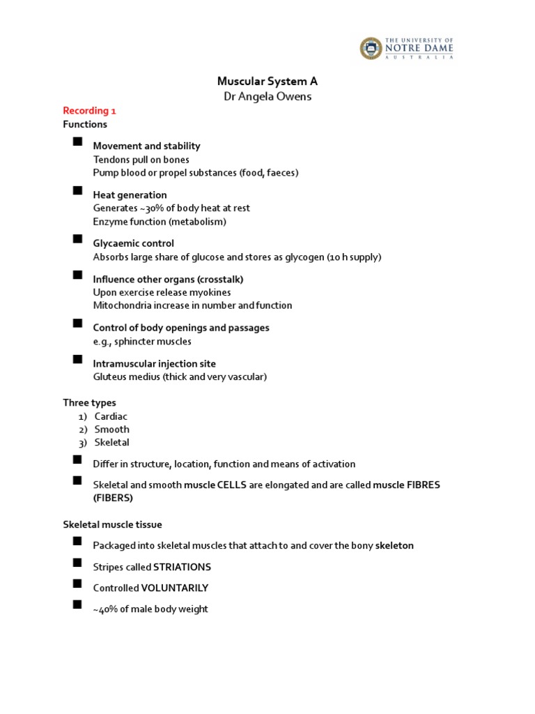 2022 Week 2 Lecture A Muscle | PDF | Skeletal Muscle | Muscle Contraction