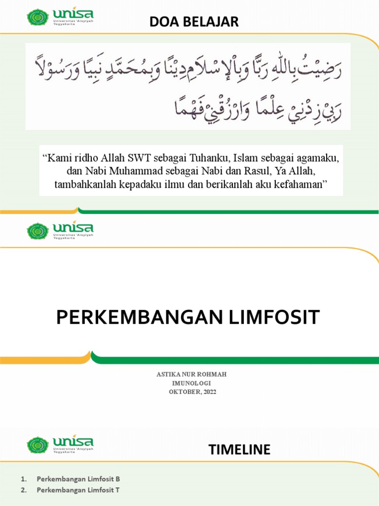 Perkembangan Limfosit B dan T dalam Imunologi | PDF