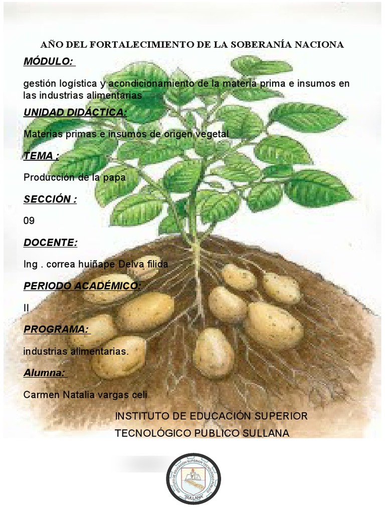 Infografia de La Papa | PDF | Patata | Agricultura