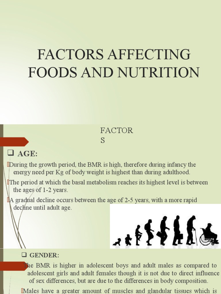 Factors Influencing BMR and Nutrition | PDF