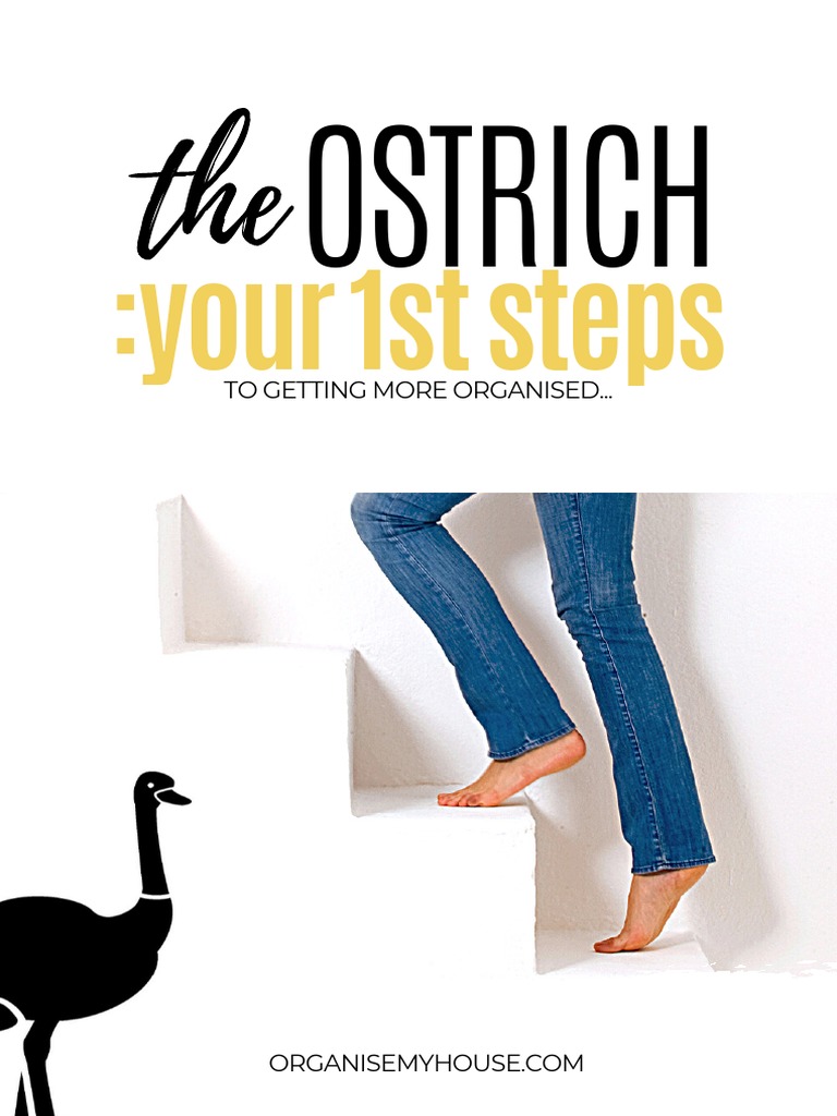 OSTRICH First Steps Workbook | PDF | Motivation | Motivational