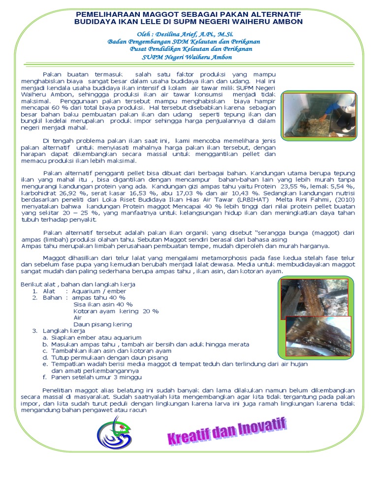 Leaflet Pemeliharaan Maggot | PDF