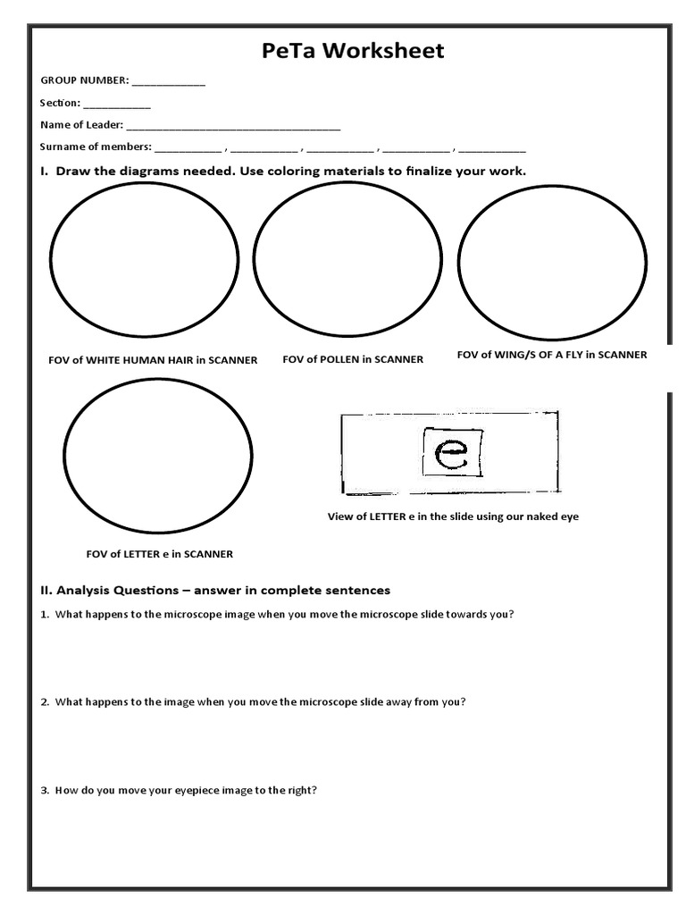 PeTa Worksheet | PDF