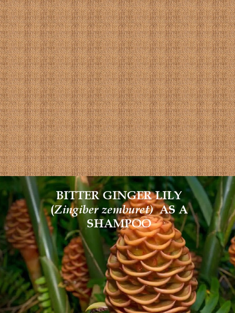 Research Title Defense | PDF