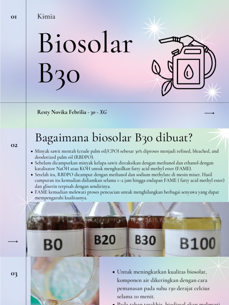 Biosolar B30 | PDF