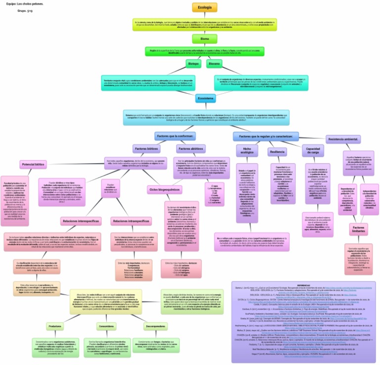 Mapa Conceptual - Ecosistemas | PDF