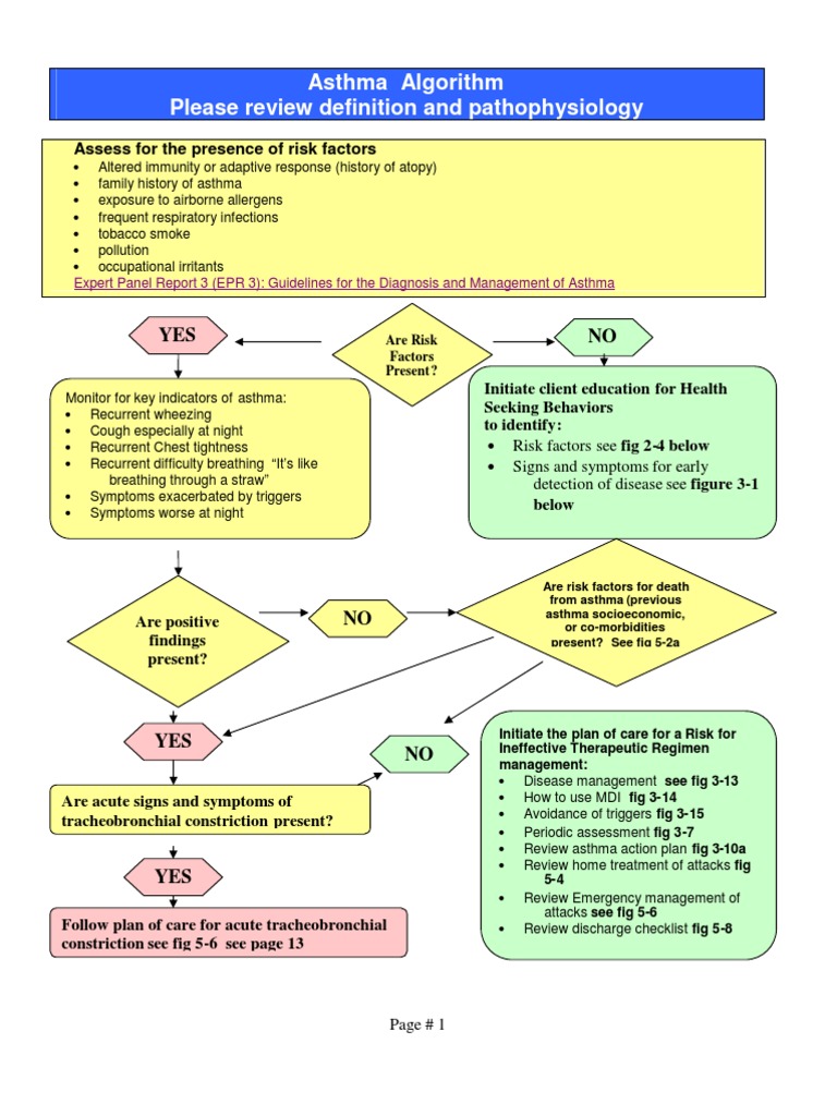 Asthma Algorithm | PDF | Asthma | Hypoxia (Medical)