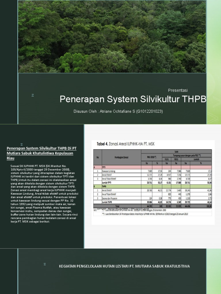 Presentasi Penerapan System Silvikultur THPB | PDF