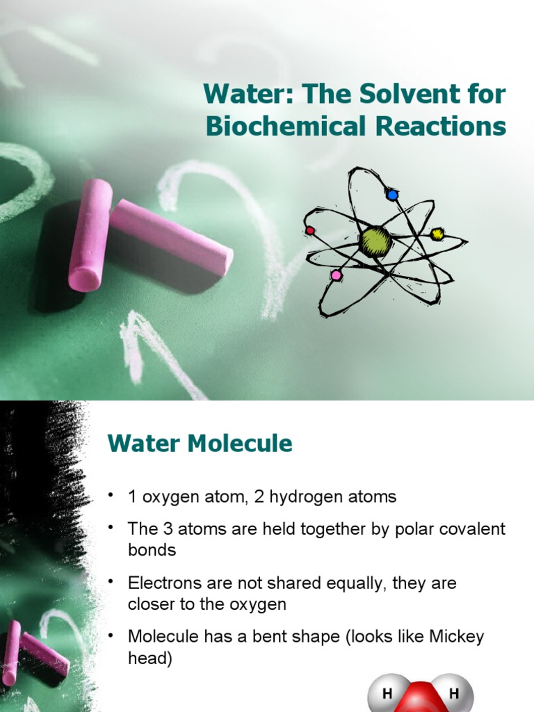 Water - Solvent For Biochemical Reactions | PDF
