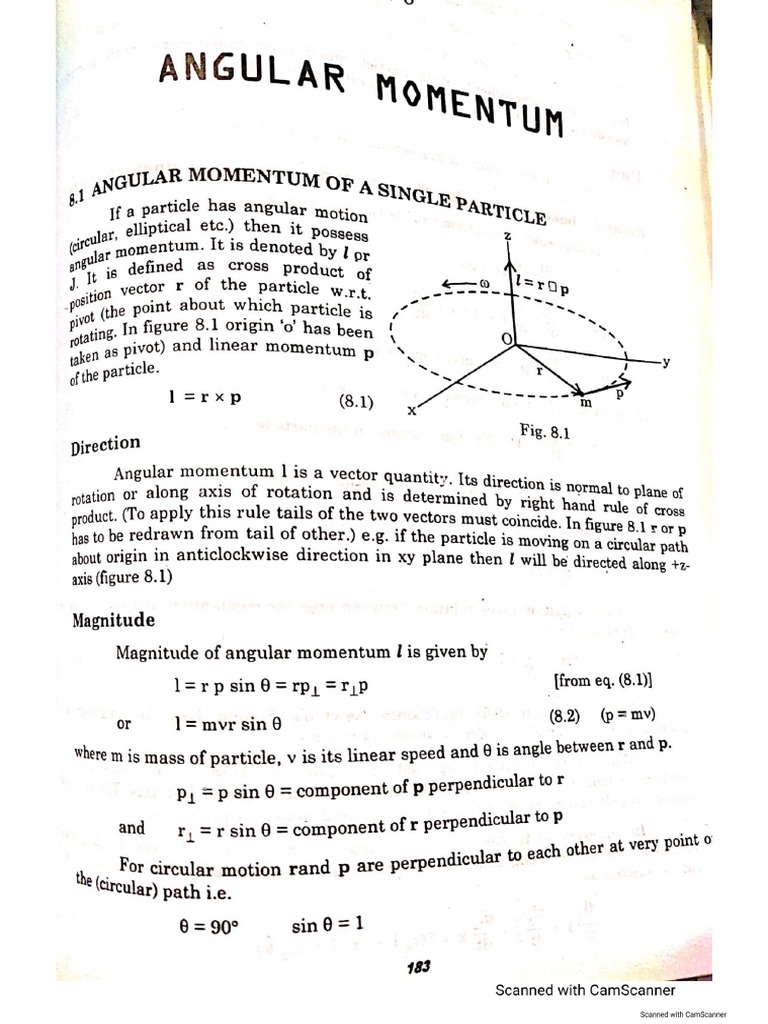 Angular Momentum | PDF