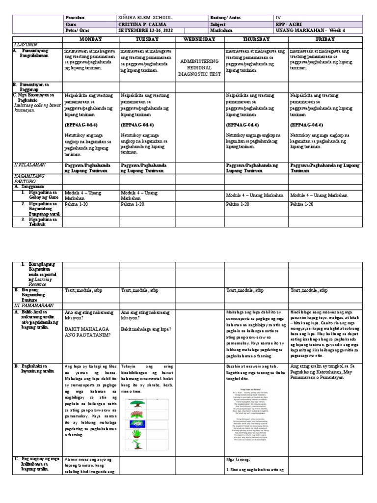 DLL Week 4 Epp Agri | PDF
