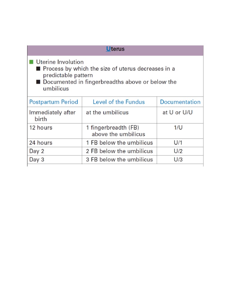 NB Assessment Notes | PDF