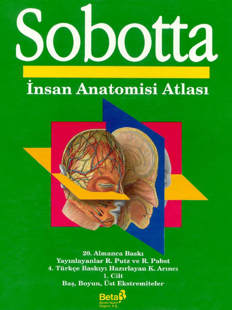 Sobotta - İnsan Anatomisi Atlası (1. Cilt) | PDF