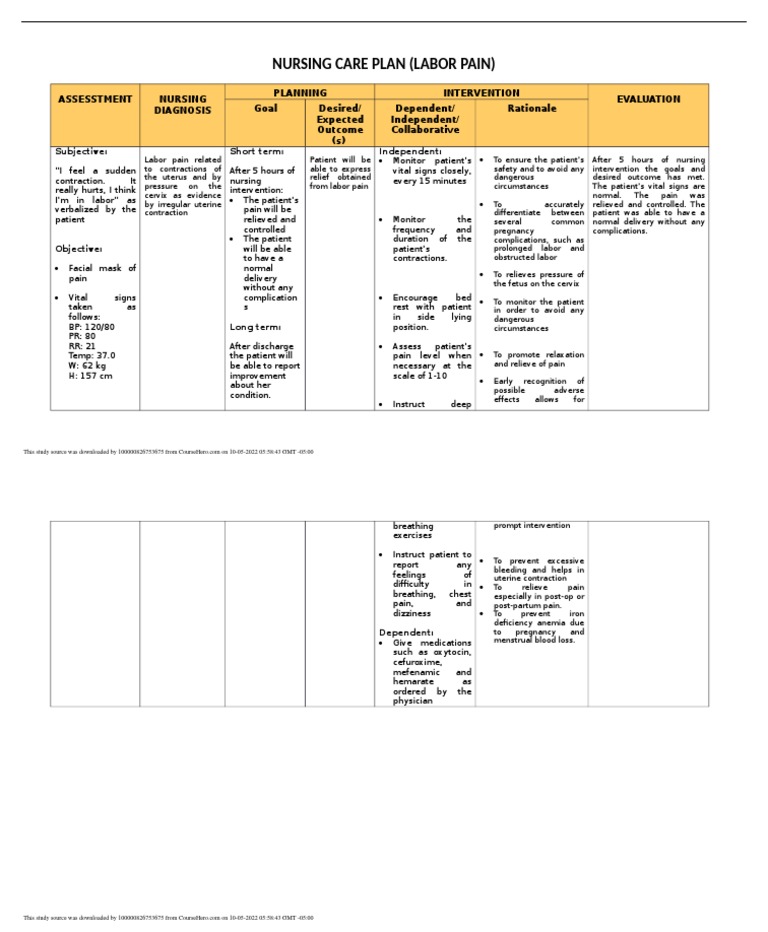 Nursing Care Plan NCP Labor Pain | PDF