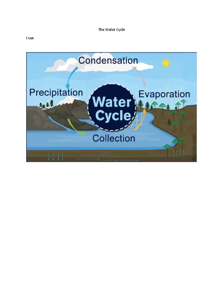 The Water Cycle | PDF | Water Cycle | Water