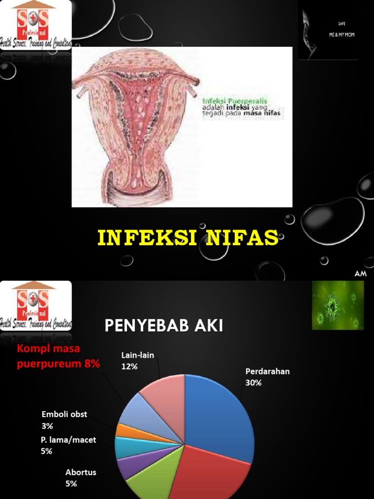 Infeksi Nifas 2021 | PDF