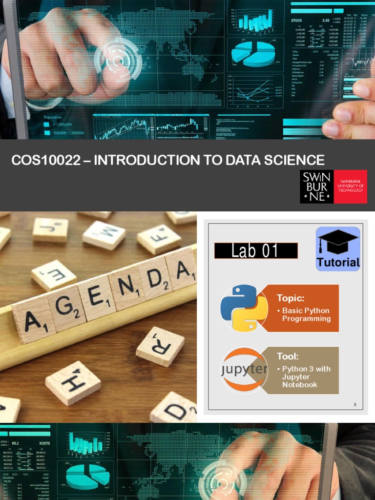 Cos10022 Ids Tutorial Week02 R Pdf Variable Computer Science Python Programming Language