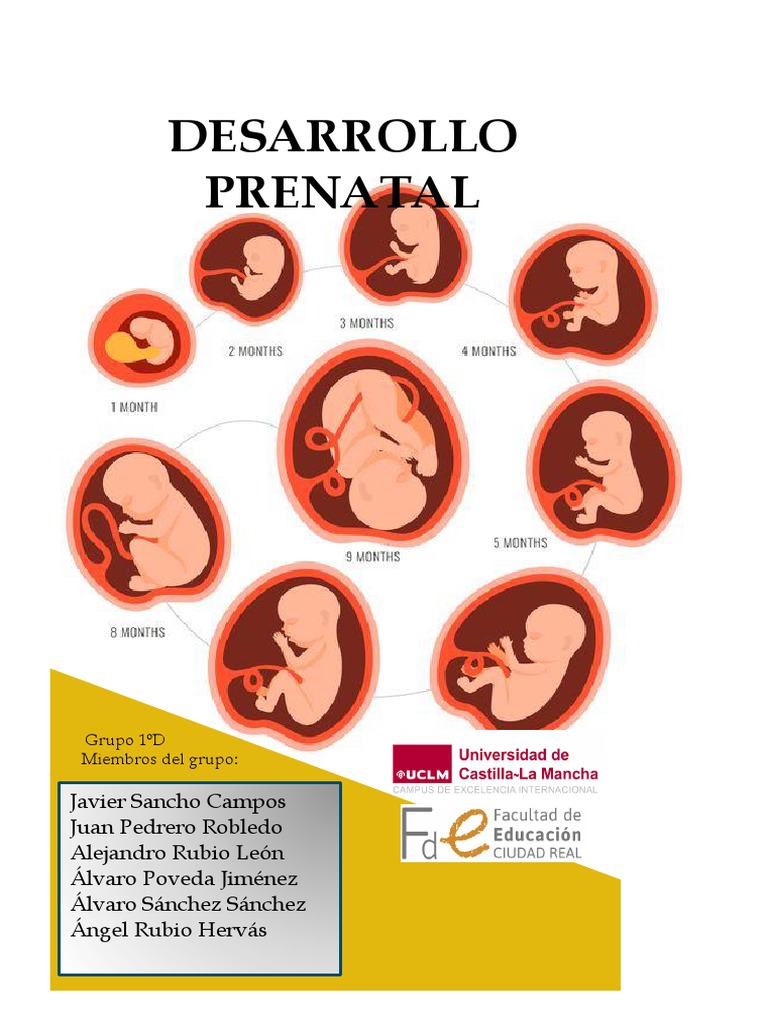 Desarrollo Prenatal | PDF | Salud y bienestar