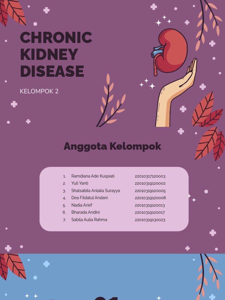 Chronic Kidney Disease: Kelompok 2 | PDF