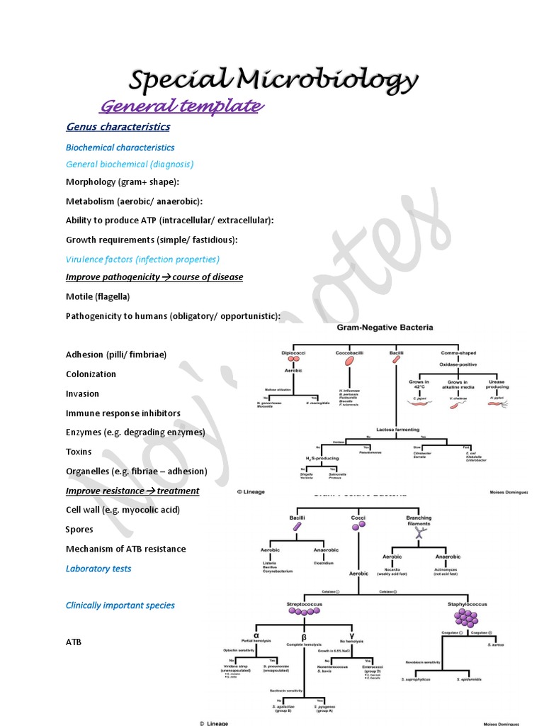 Microbiology Special Report: General Template for Characterizing ...
