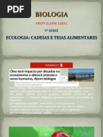 Curso Mastersaf DW | PDF | Bancos de dados | Contabilidade