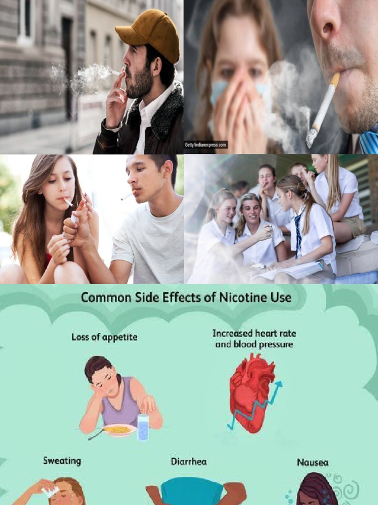Smoking: Health Risks and Effects | PDF | Cigarette | Tobacco Smoking