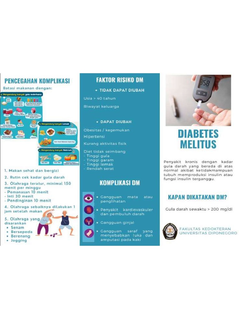 Leaflet Diabetes Melitus | PDF