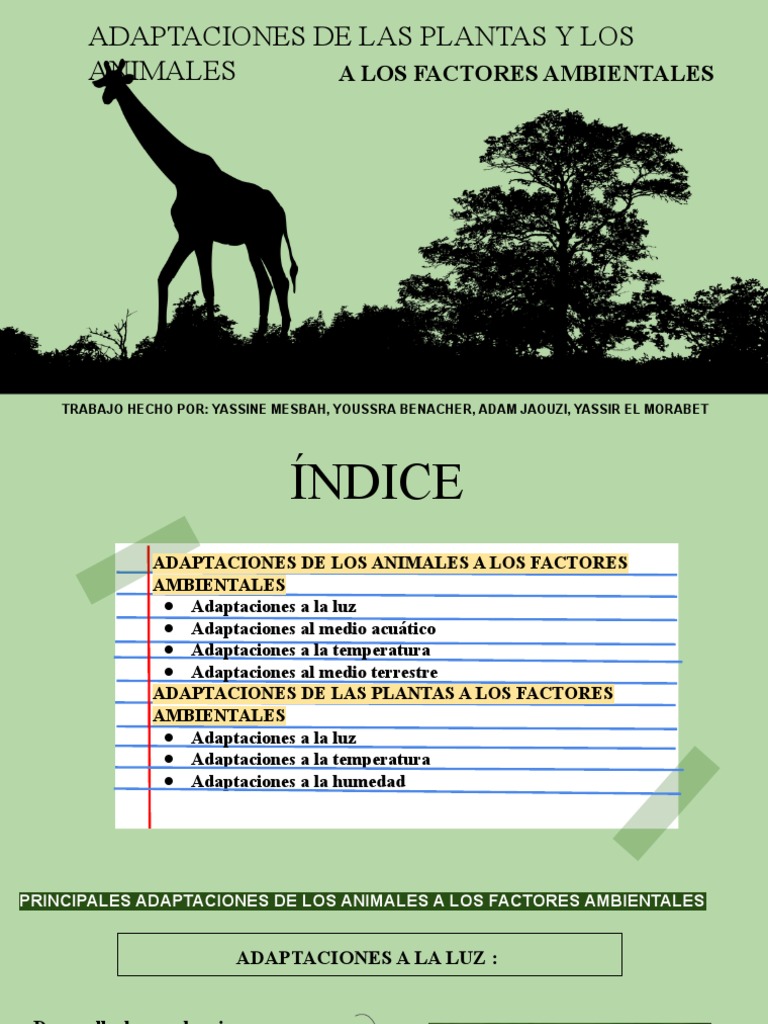 Adaptaciones de Las Plantas y Los Animales | PDF