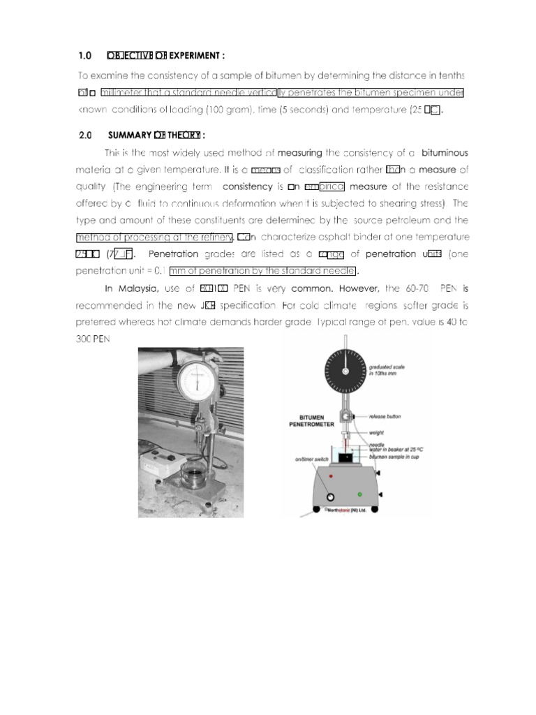 Penetration Lab Report | PDF