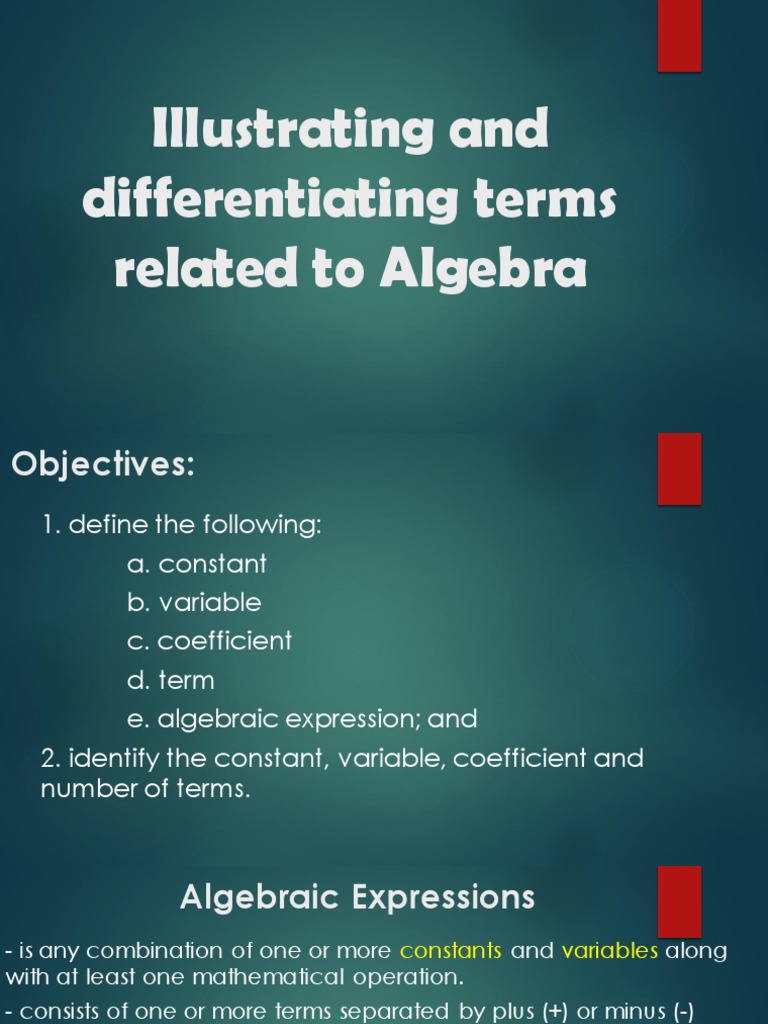Illustrating and Differentiating Terms Related To Algebra | PDF
