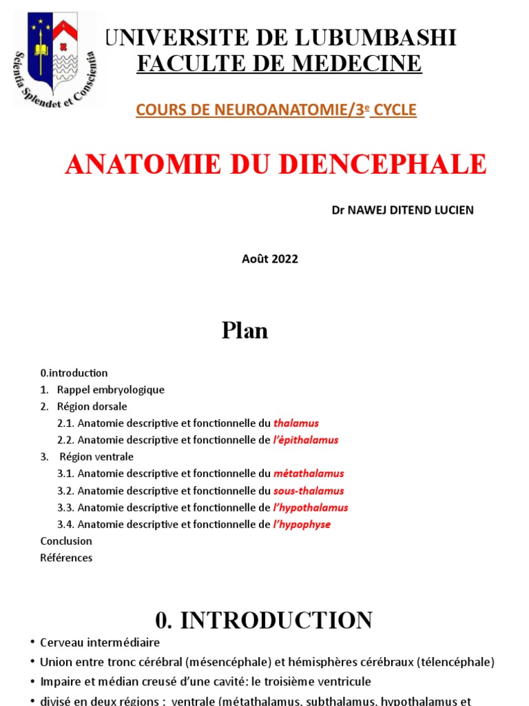 Anatomie du Diencéphale: Thalamus et Épithalamus | PDF | Hypophyse ...