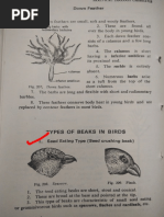 CLASS 3 SCIENCE CHAPTER 3 BIRDS Mrs. Geetarani Das | PDF | Birds | Feather