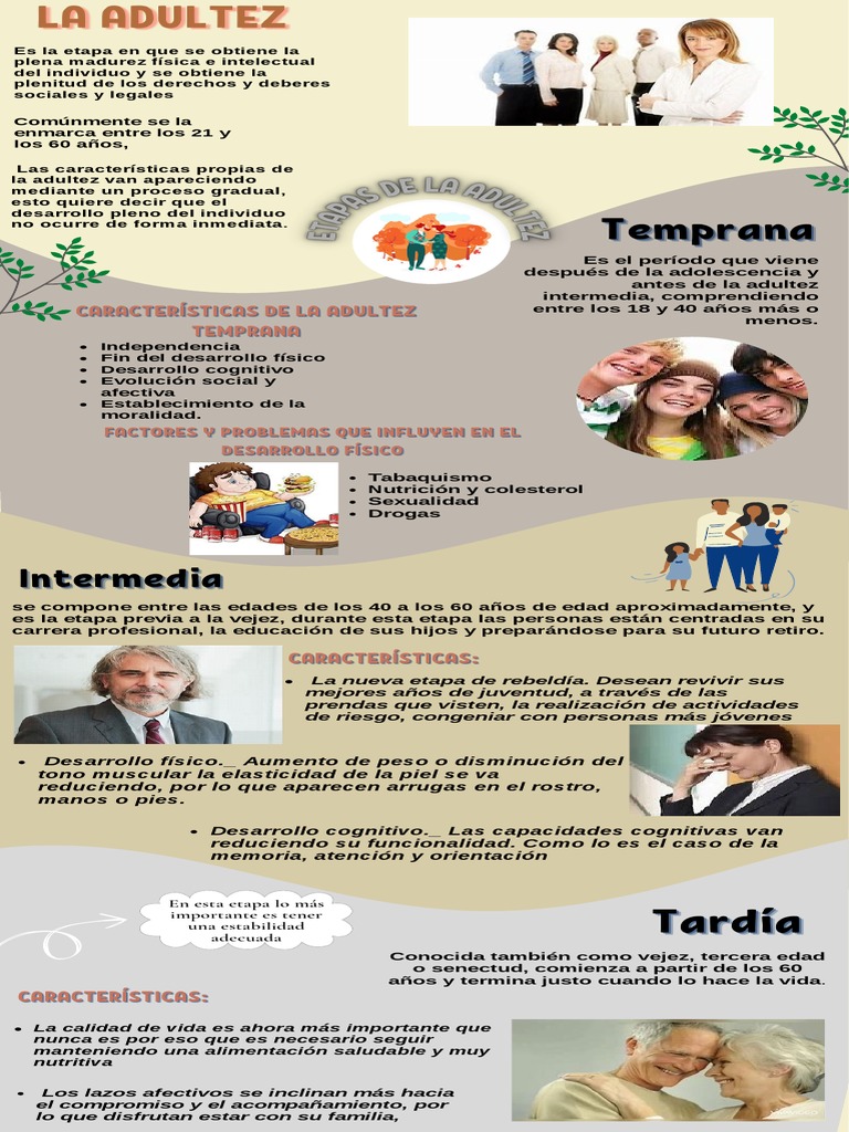 Infografía (La Adultez) | PDF | Adultos | Vejez
