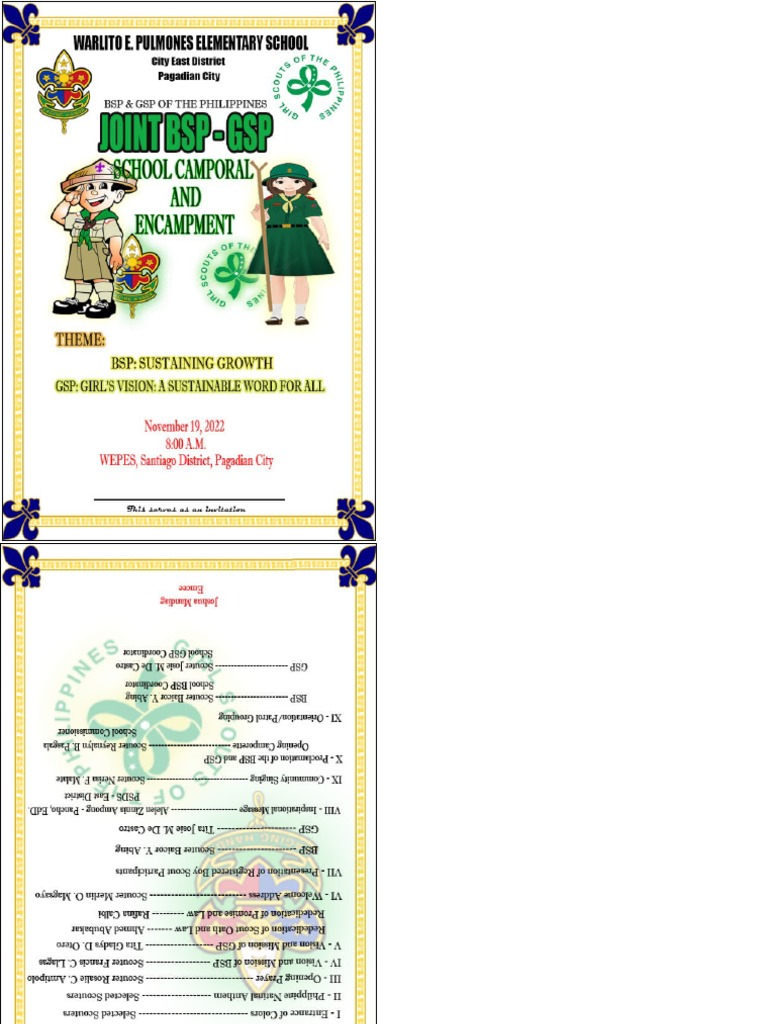 BSP and GSP Program | PDF