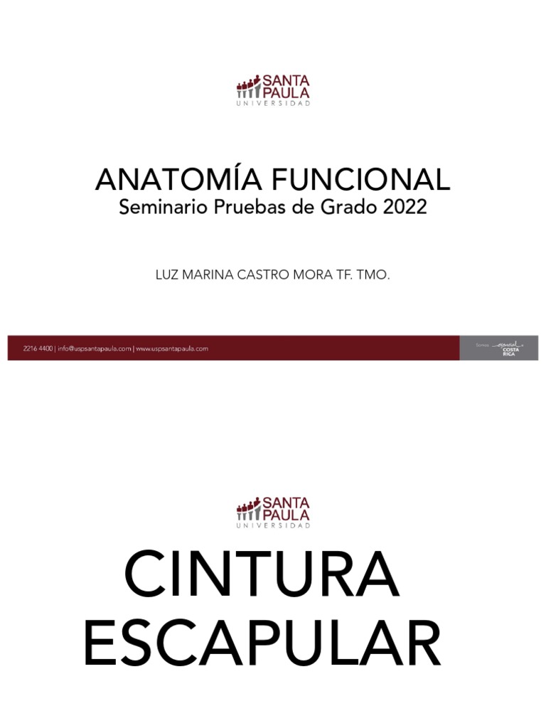 Seminario Anatomía Funcional PG 2022 | PDF | Ciencias sociales ...