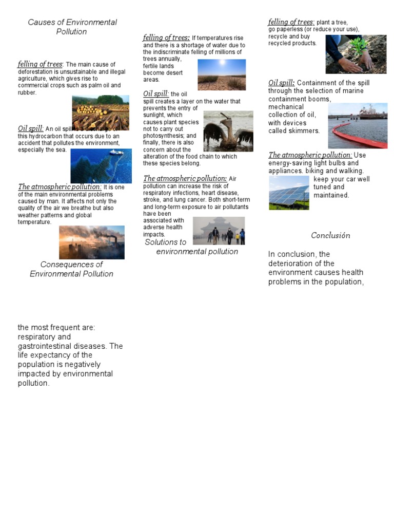 Causes and Solutions for Pollution | PDF | Pollution | Air Pollution