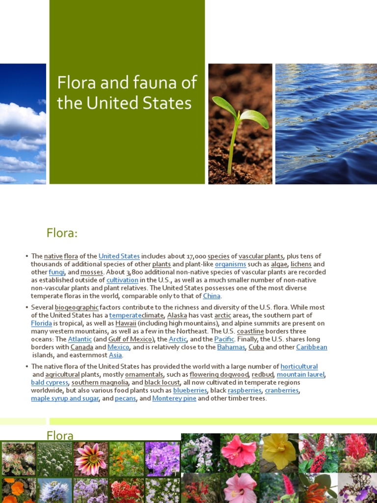 Flora of The United States | Download Free PDF | Organisms