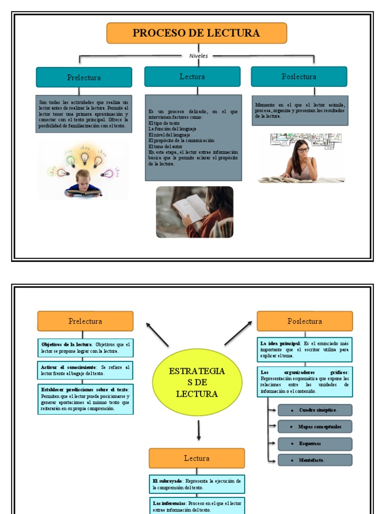 Etapas del Proceso de Lectura | PDF | Comunicación | Lingüística
