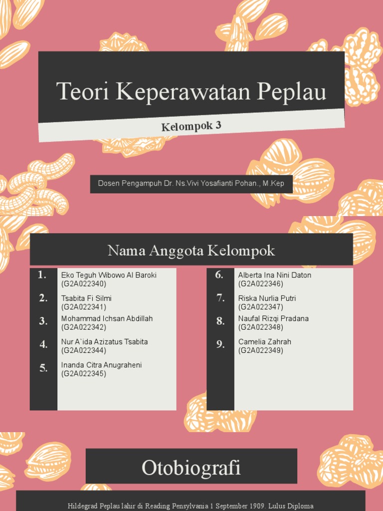 Falsafah Kel. 3 Teori Peplau Bita | PDF