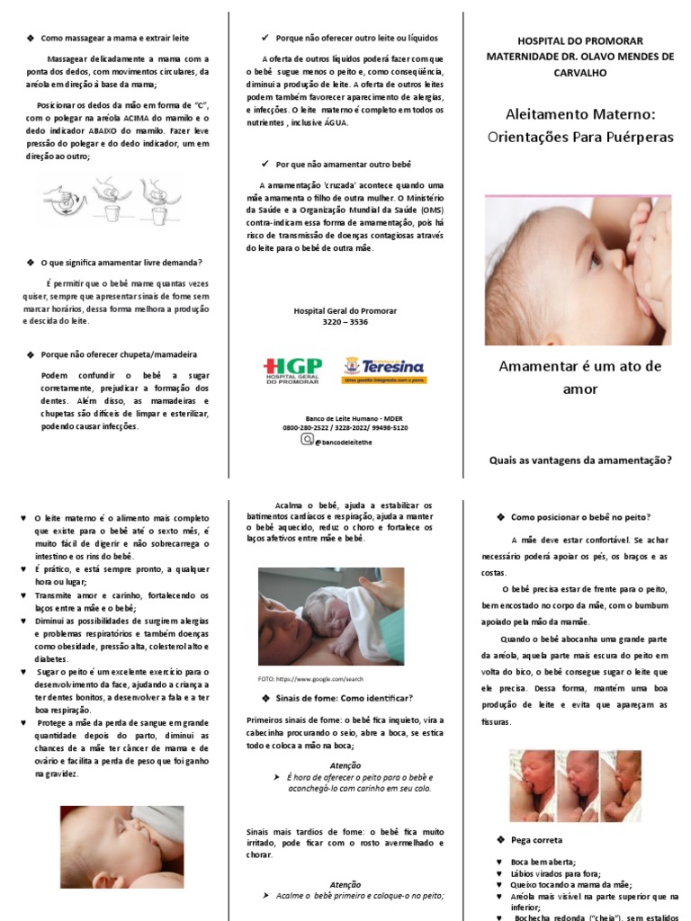 Novo Folder Puérpera Promorar | PDF